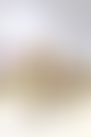 Cerodiers at Perohub